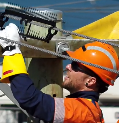 Wildlife Protection Covers for Electrical Safety- Balmoral Engineering