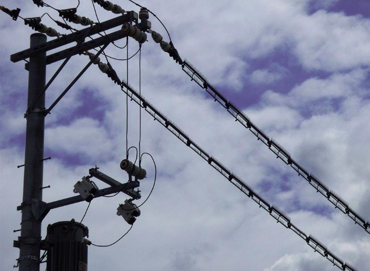 Wildlife Protection Covers for Electrical Safety- Balmoral Engineering